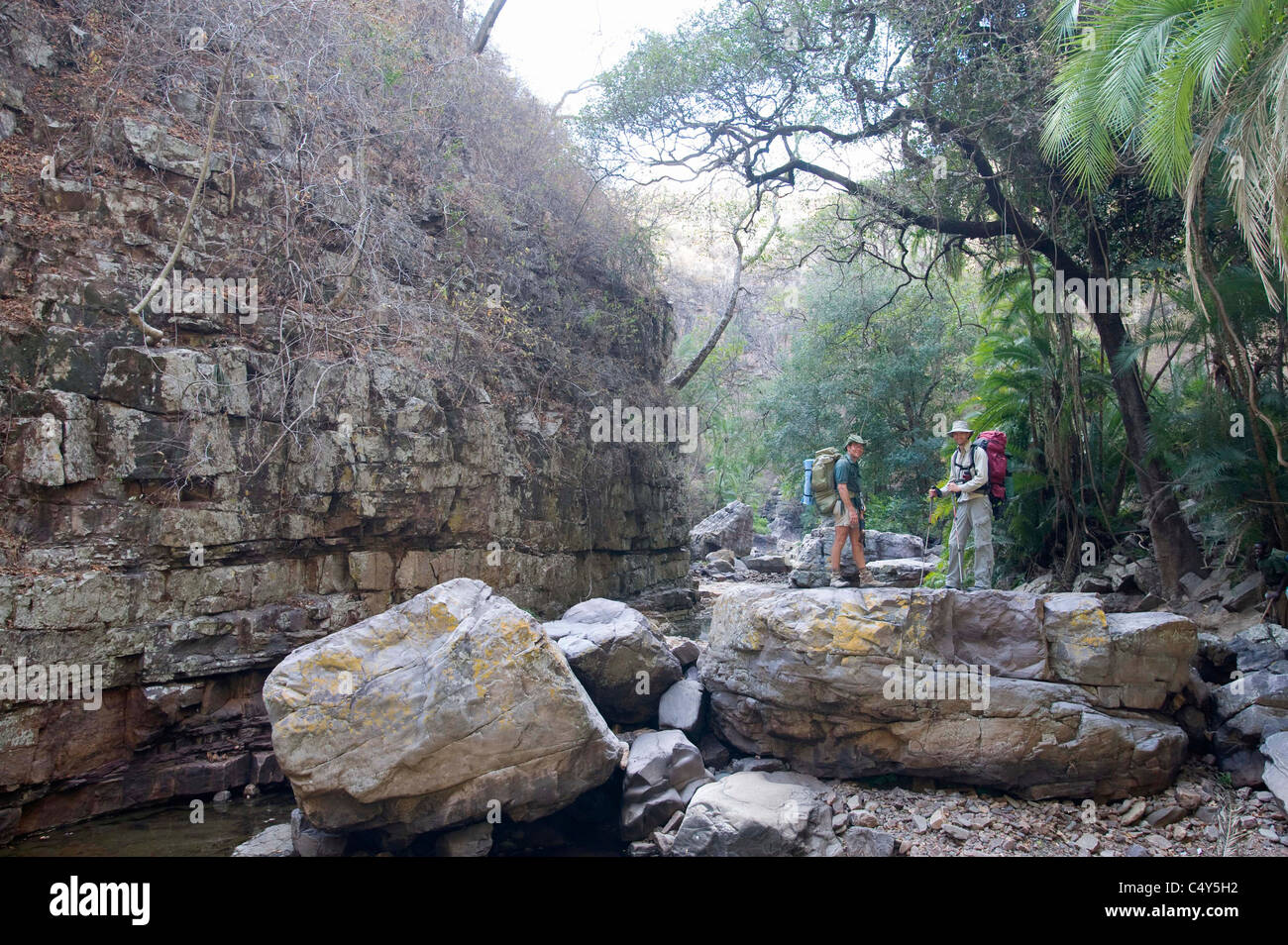 Lush gorge in Zimbabwe's Chizarira National Park Stock Photo - Alamy