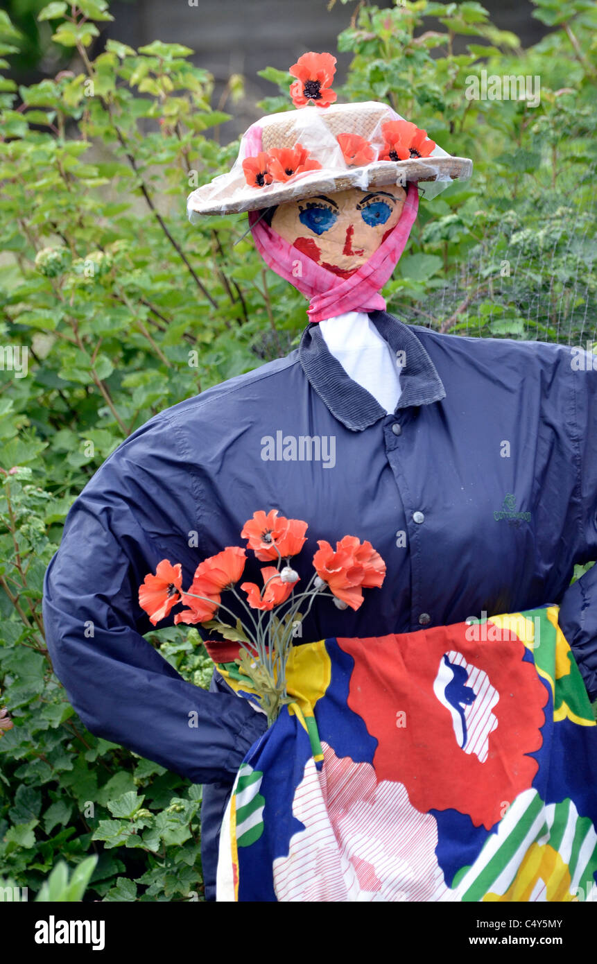 Scarecrow bird hi-res stock photography and images - Alamy