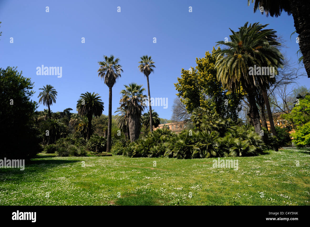 italy, rome, trastevere, orto botanico, botanical gardens Stock Photo ...