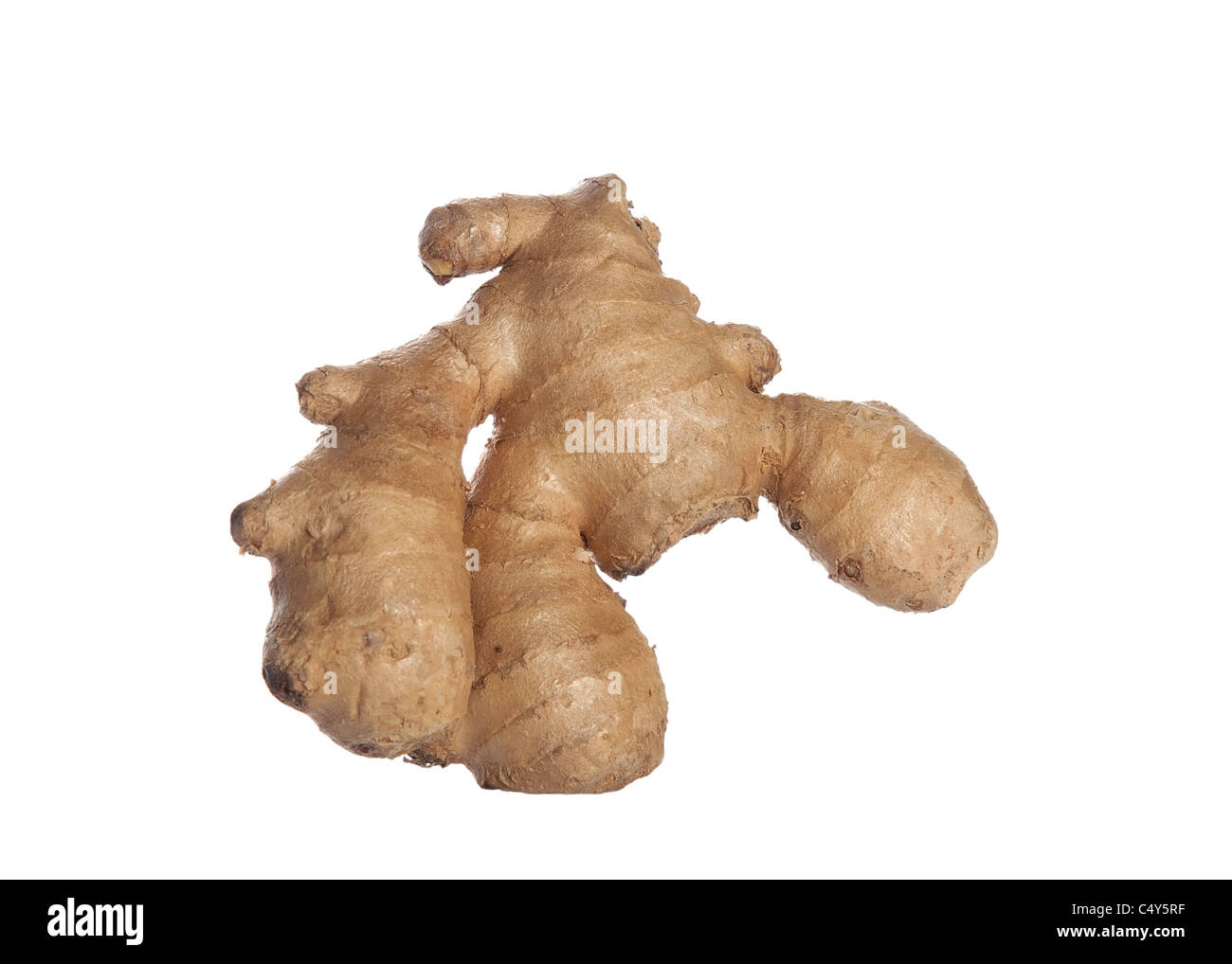 Isolated ginger root Stock Photo - Alamy