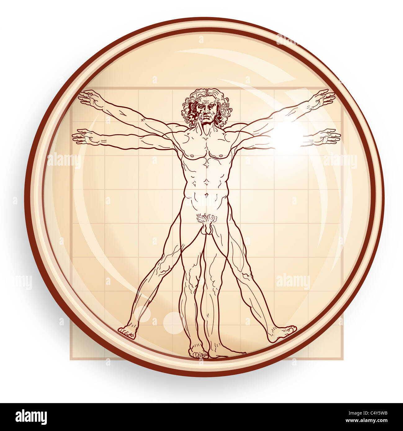 The Vitruvian man (under Microscope Stock Photo - Alamy