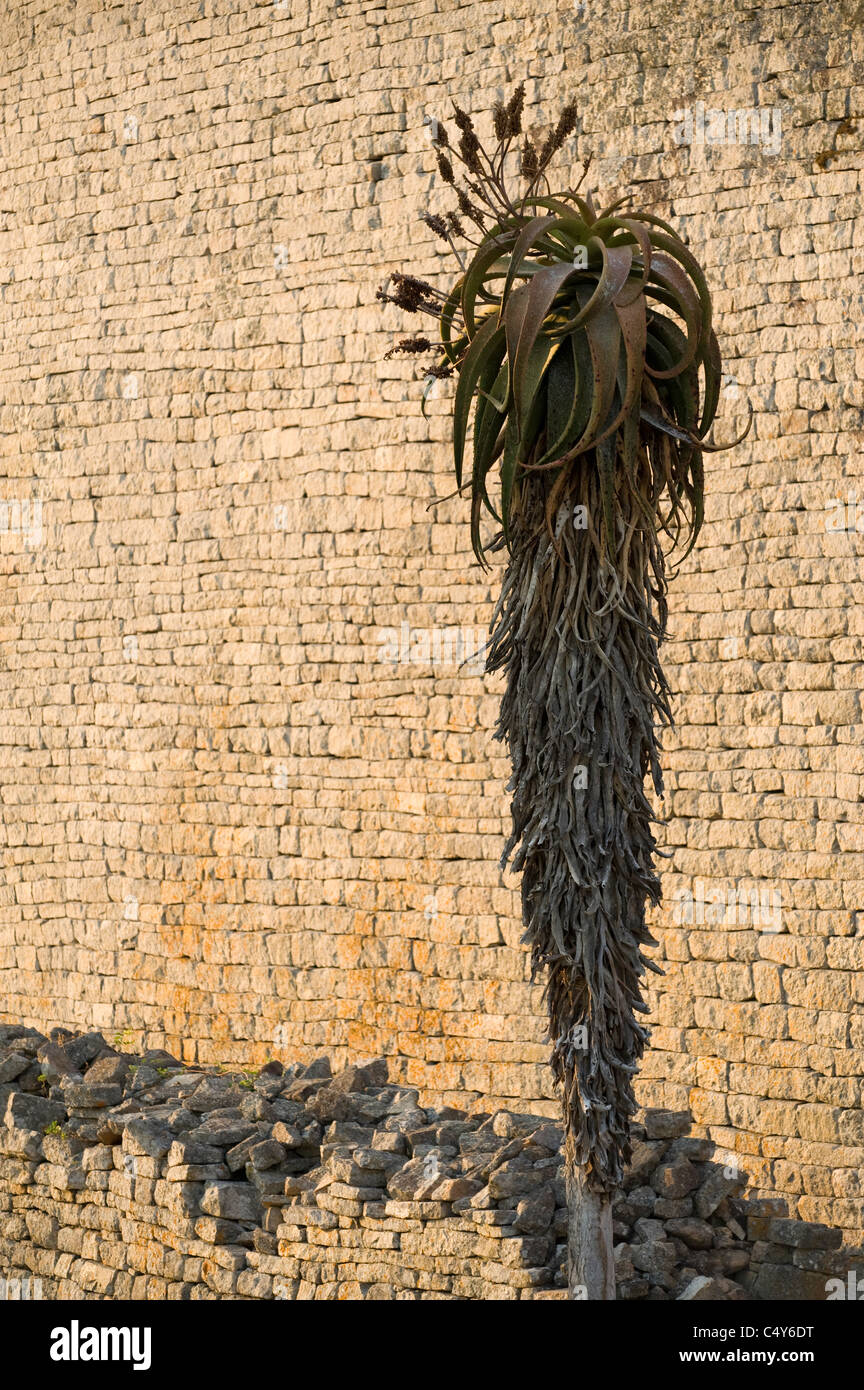 Great Zimbabwe Ruins, Masvingo, Zimbabwe Stock Photo - Alamy