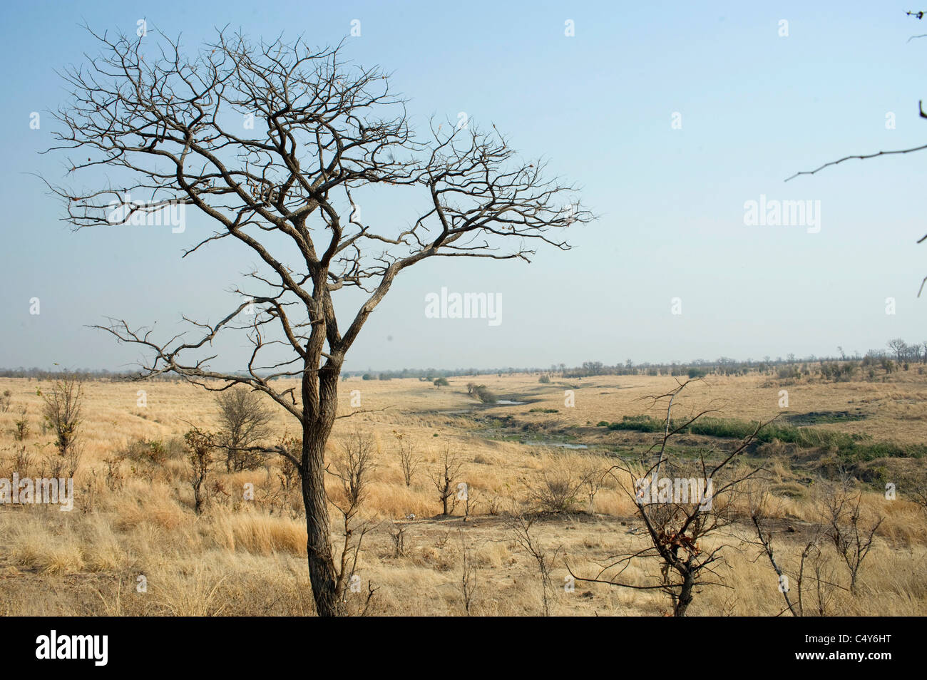 Seep High Resolution Stock Photography and Images - Alamy