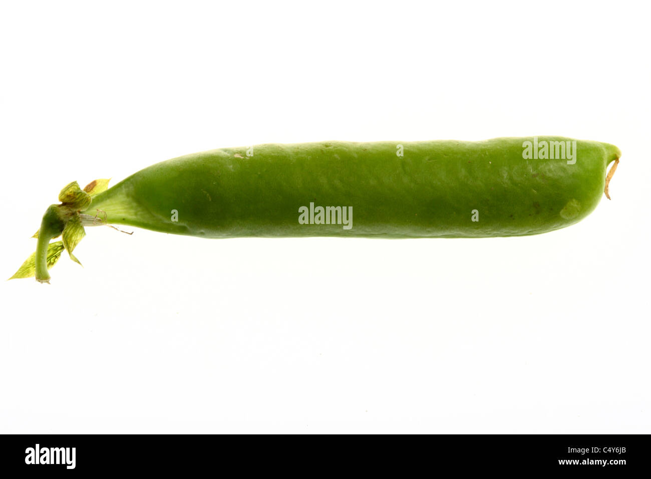 Vegetable. Green peas in pod Stock Photo - Alamy