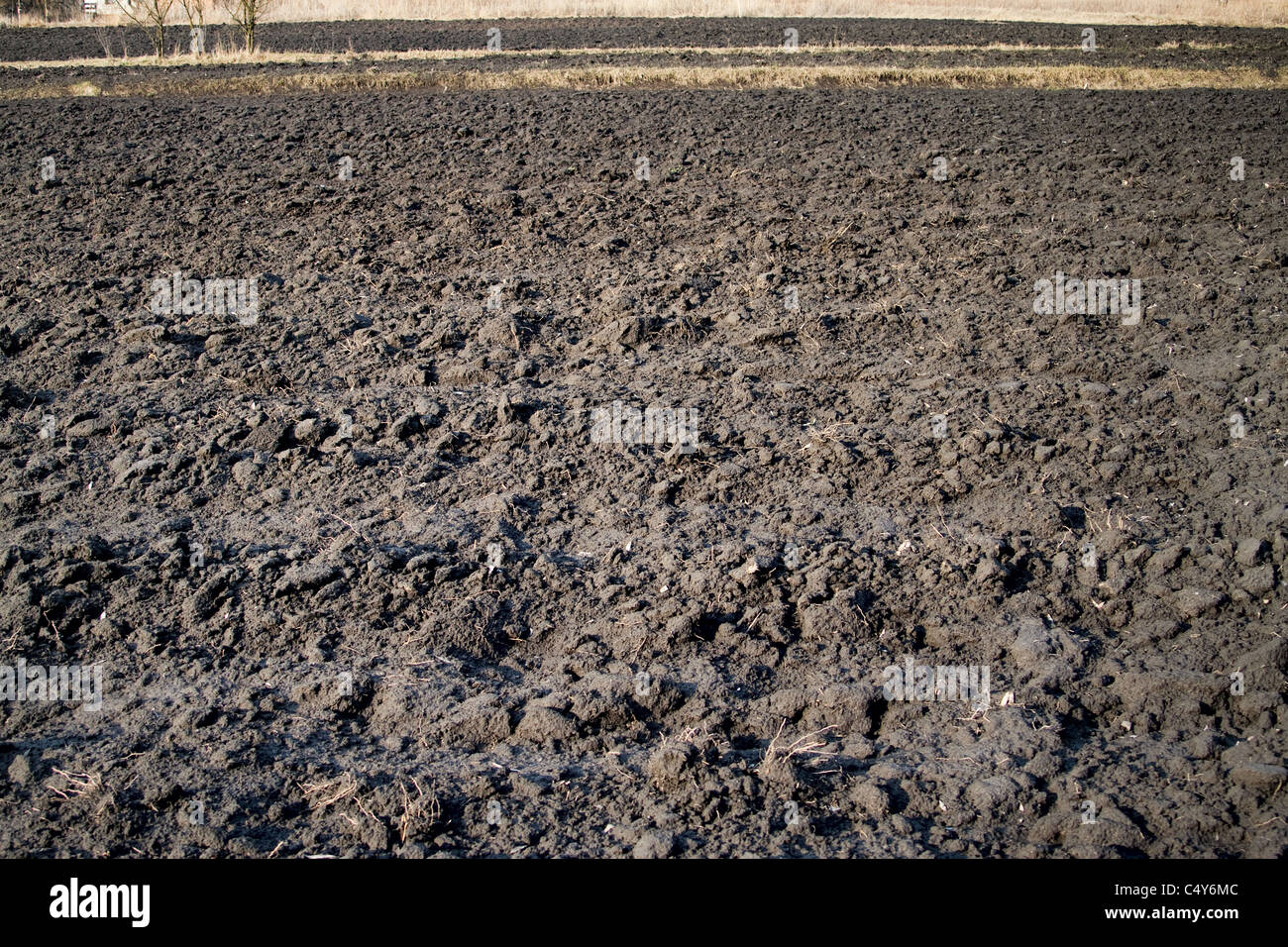 Farm track in spring hi-res stock photography and images - Alamy