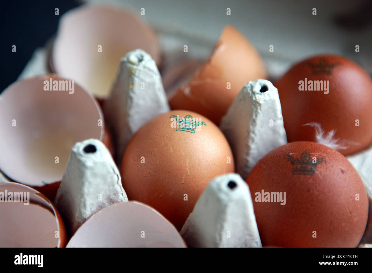Free range eggs and egg shells from Burford Brown hens in an egg box ...