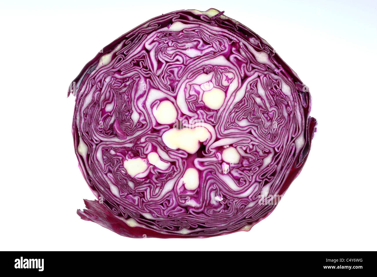 Vegetable, red cabbage, sliced Stock Photo - Alamy