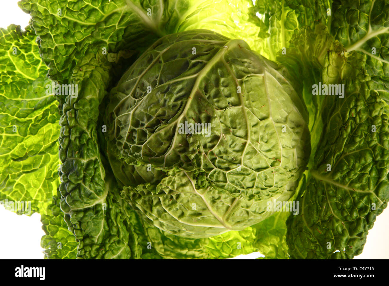 Vegetable, savoy cabbage Stock Photo - Alamy