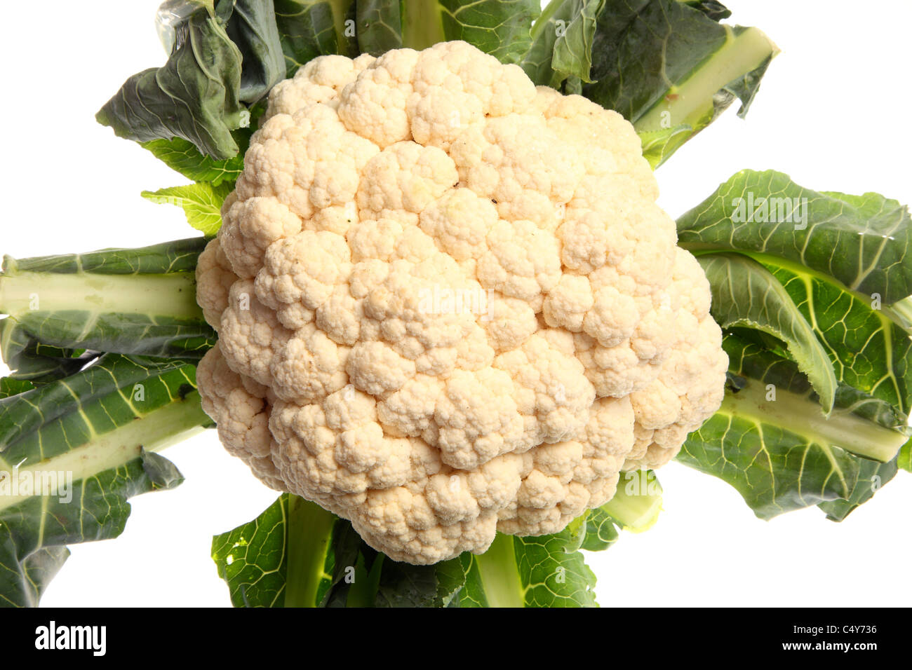 Vegetable, white cauliflower Stock Photo - Alamy