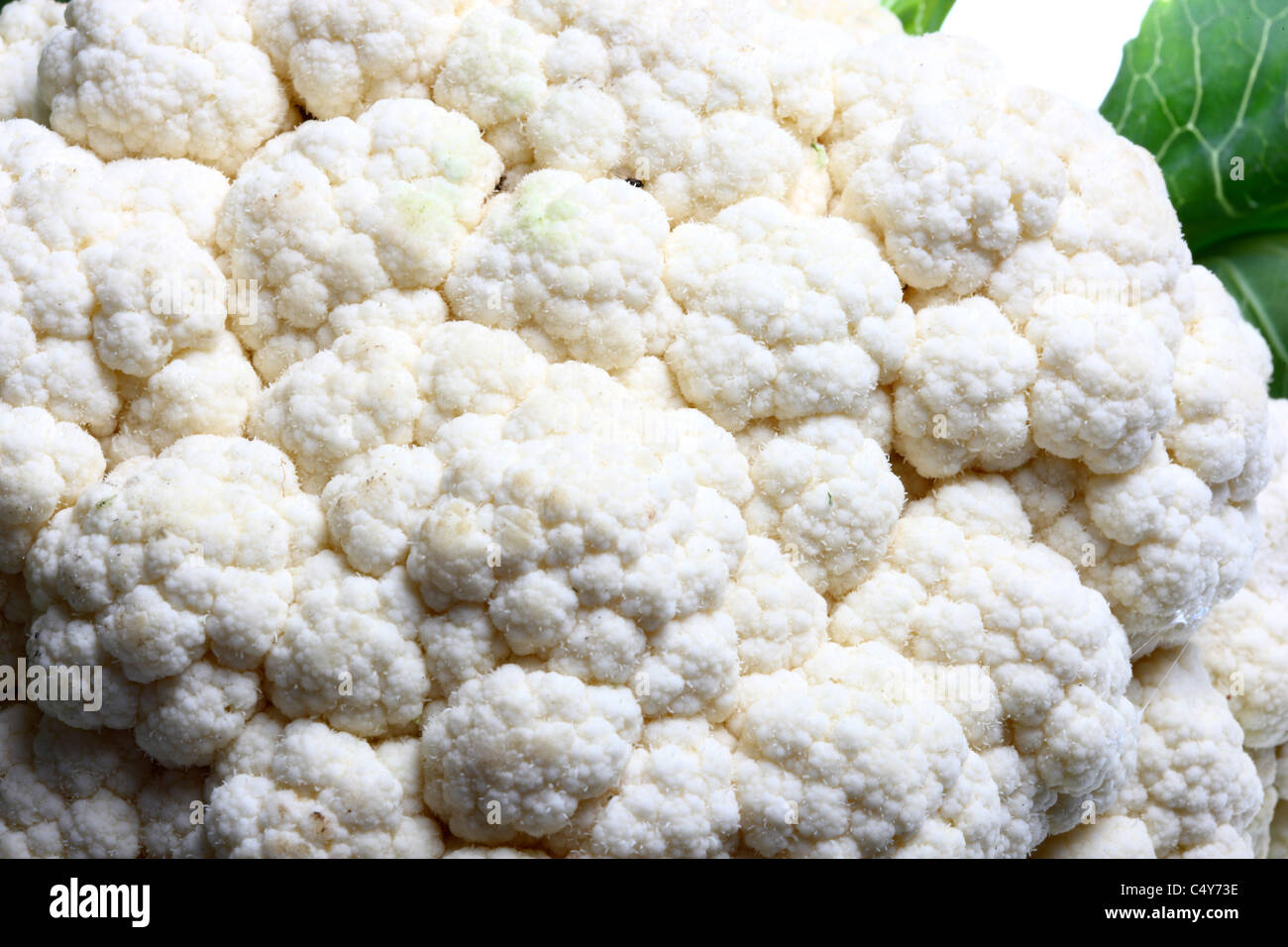 Vegetable, white cauliflower Stock Photo - Alamy