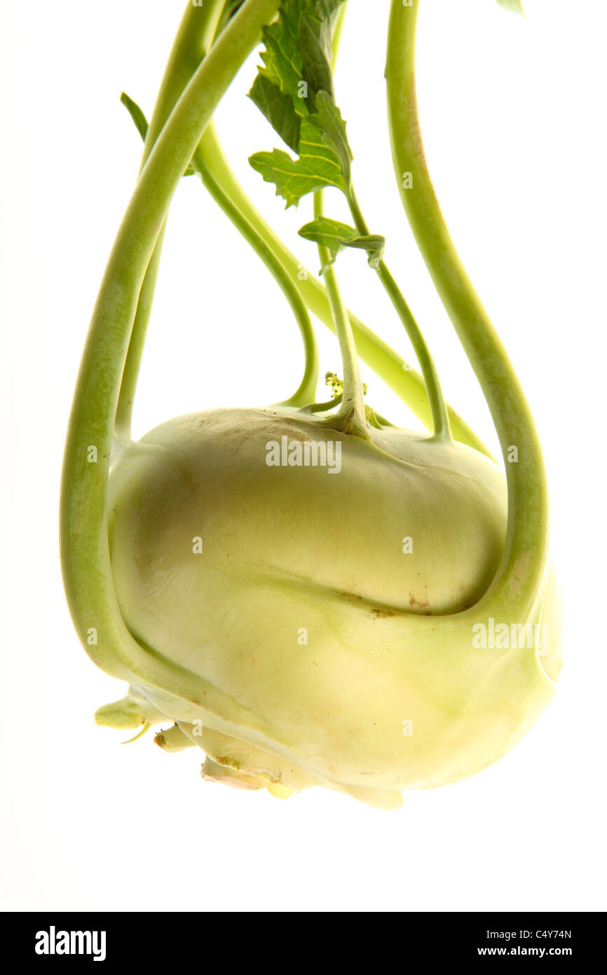 Vegetable, kohlrabi, turnip cabbage Stock Photo - Alamy
