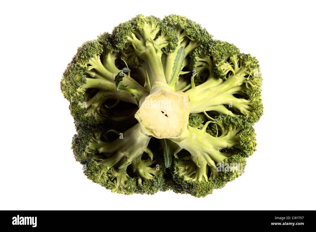 Vegetable broccoli hi-res stock photography and images - Alamy