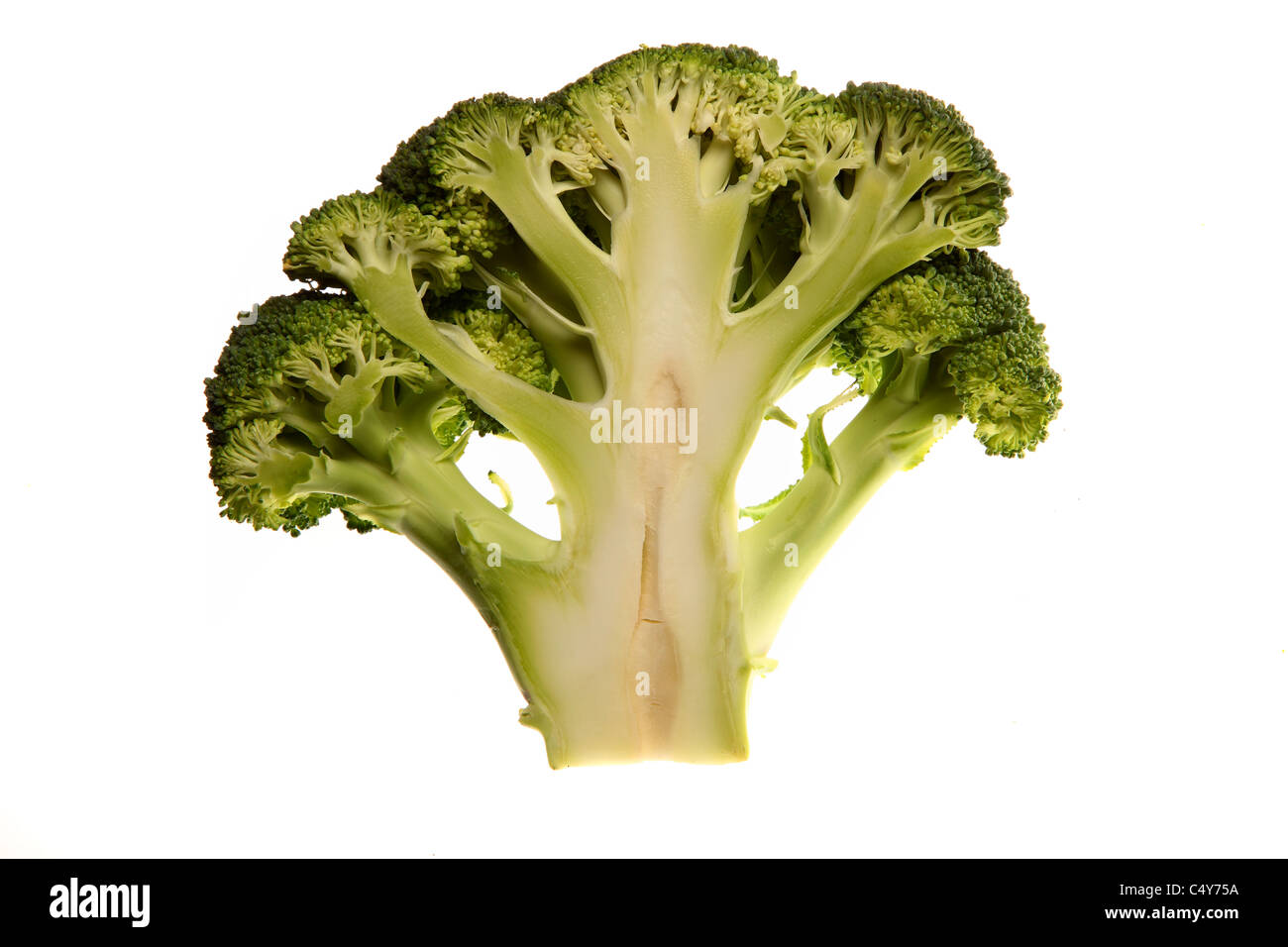 Vegetable broccoli hi-res stock photography and images - Alamy