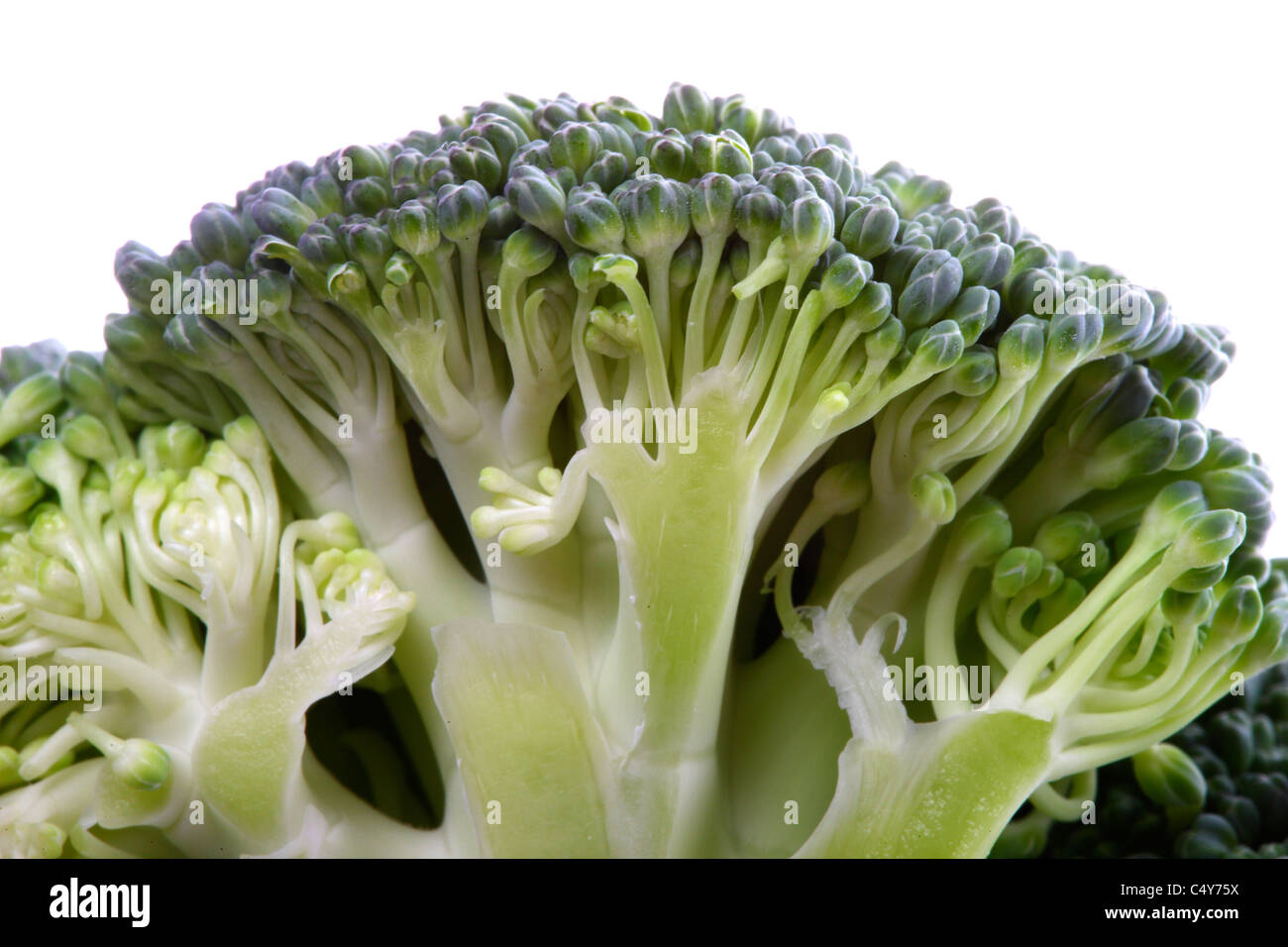Vegetable broccoli hi-res stock photography and images - Alamy