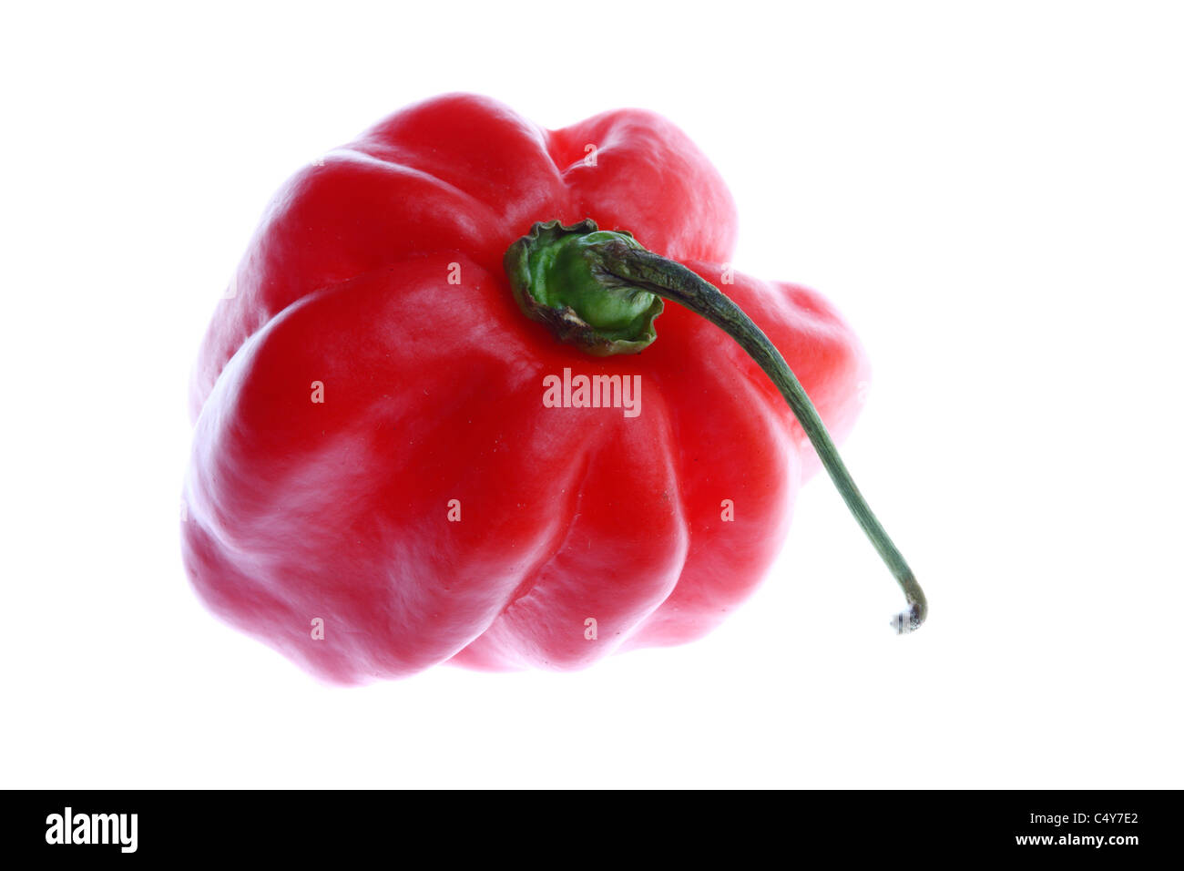 Vegetable, red jalapeño peppers, capsicum Stock Photo - Alamy