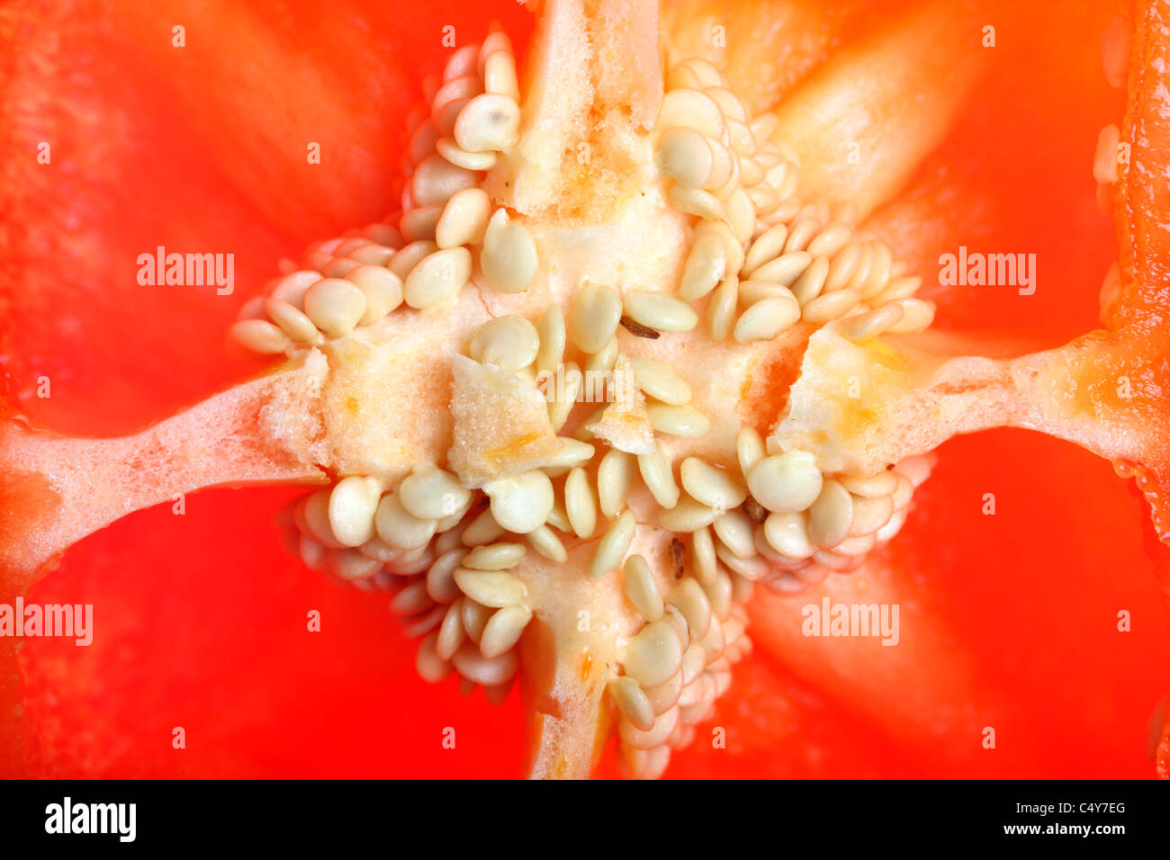 Vegetable, red bell pepper, capsicum Stock Photo - Alamy