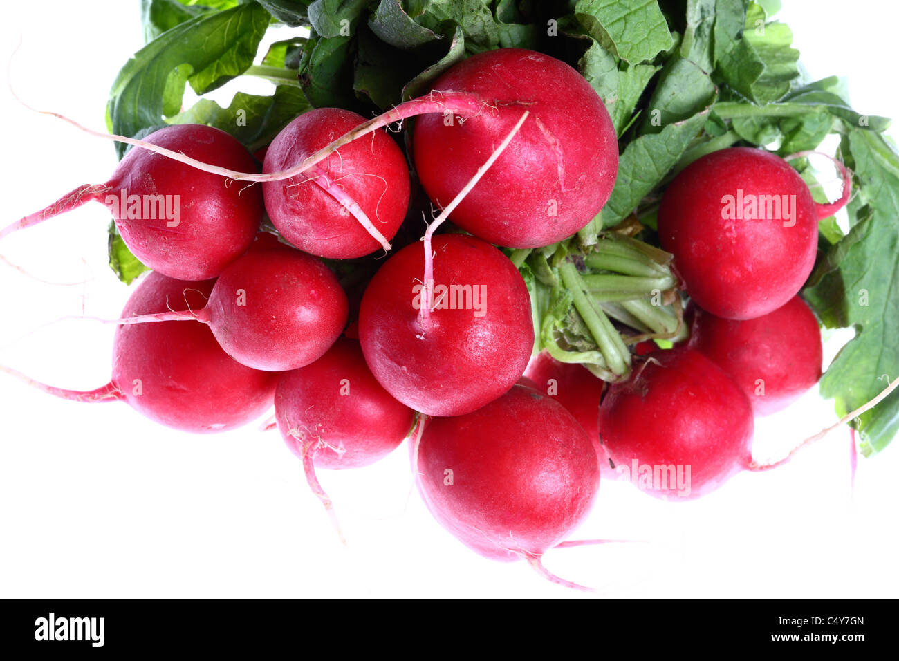 Vegetable, radish, radishes Stock Photo - Alamy