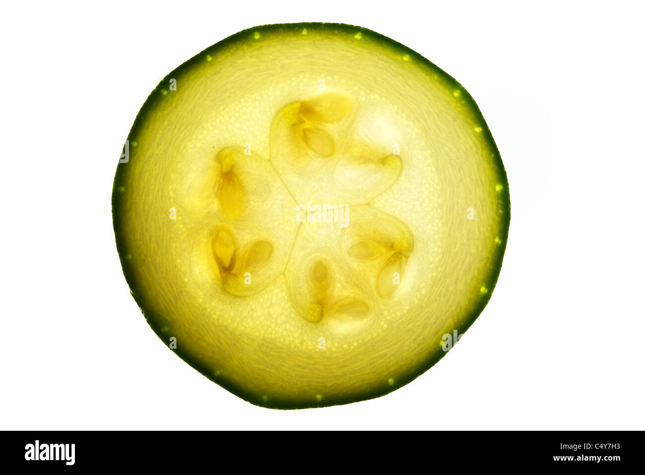 Vegetable, zucchini, courgette, summer squash Stock Photo - Alamy
