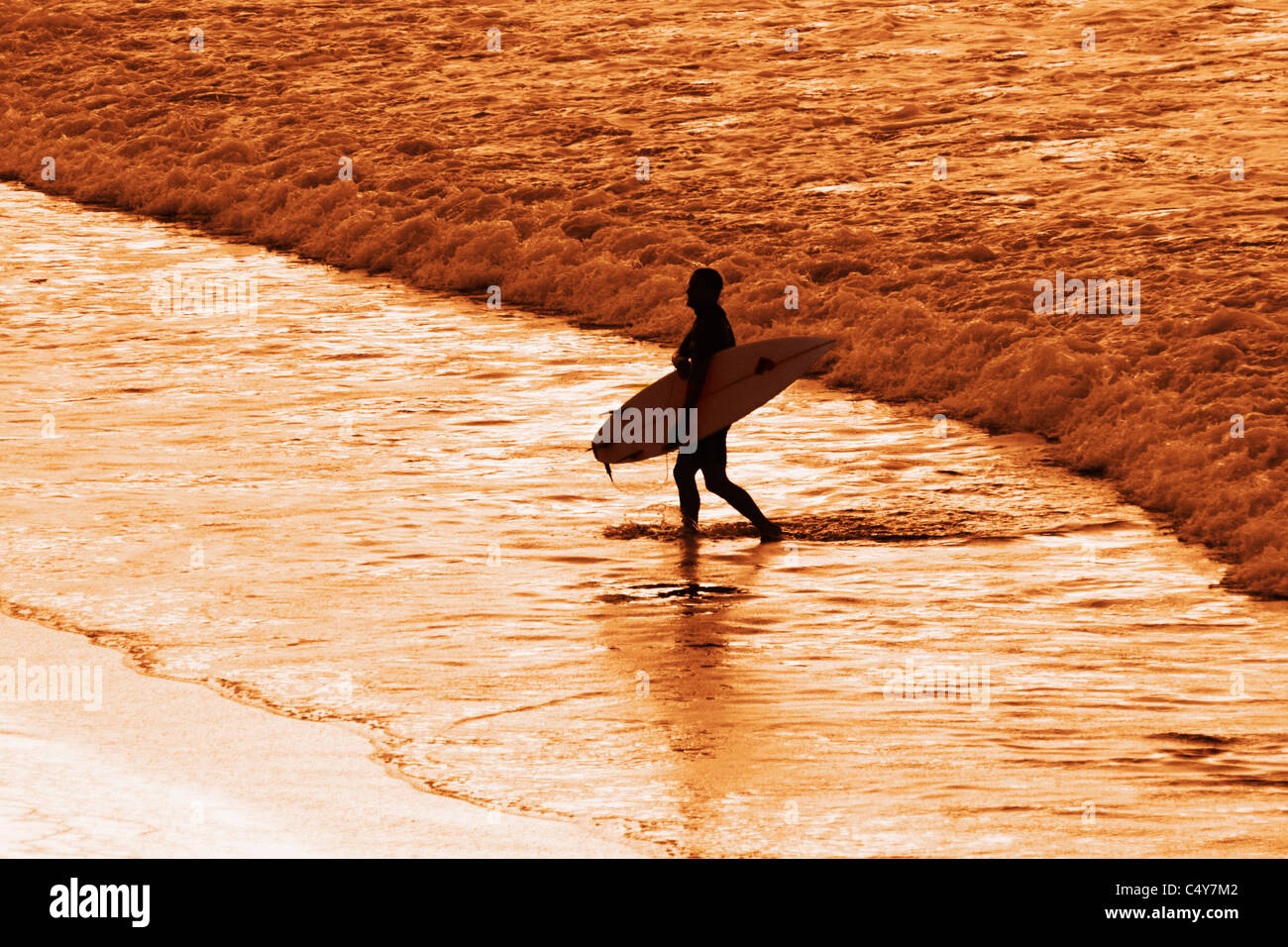 Surfer at sunset Stock Photo - Alamy