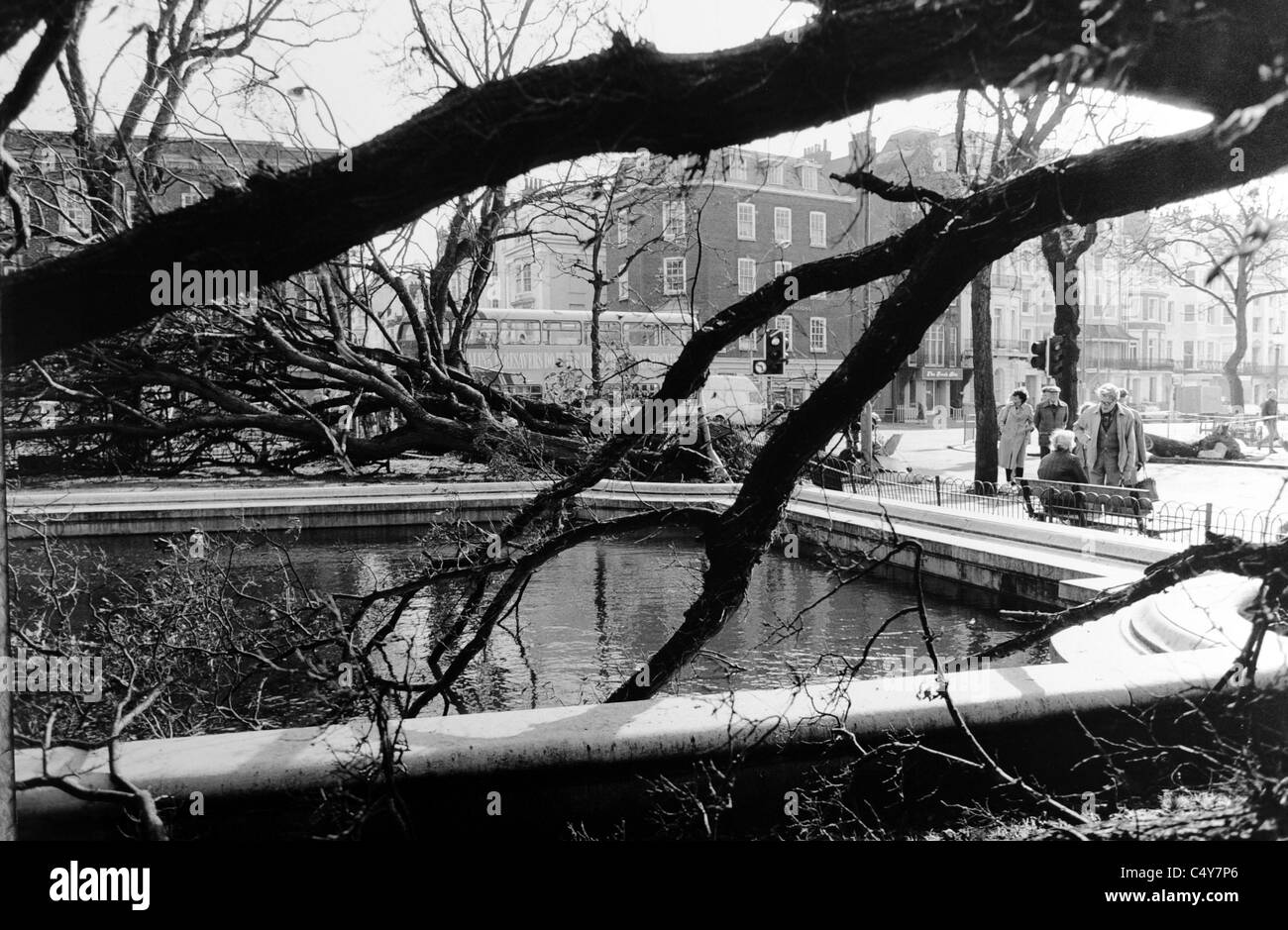 Trees in memorial Black and White Stock Photos & Images - Alamy