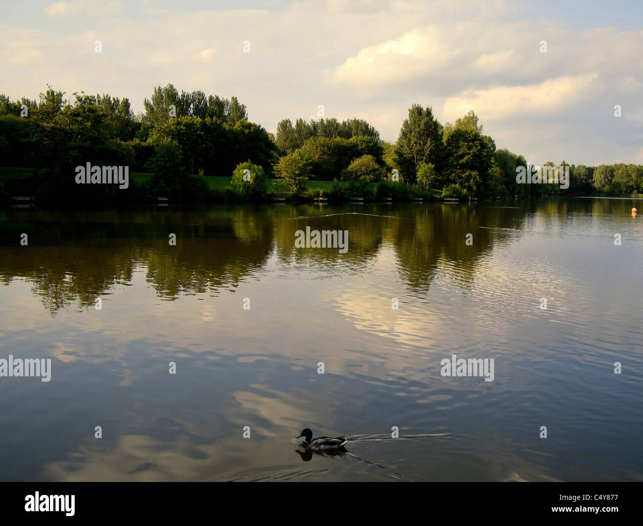 arrow valley lake country park redditch worcestershire midlands england ...