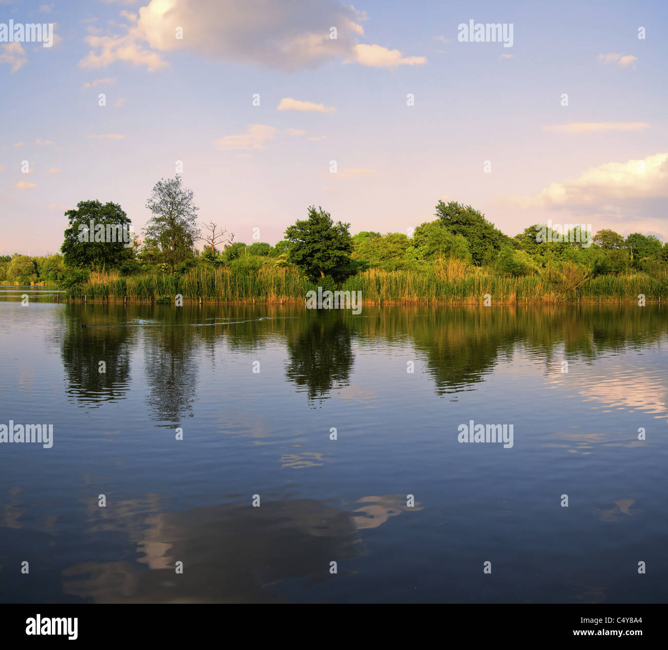 arrow valley lake country park redditch worcestershire midlands england ...