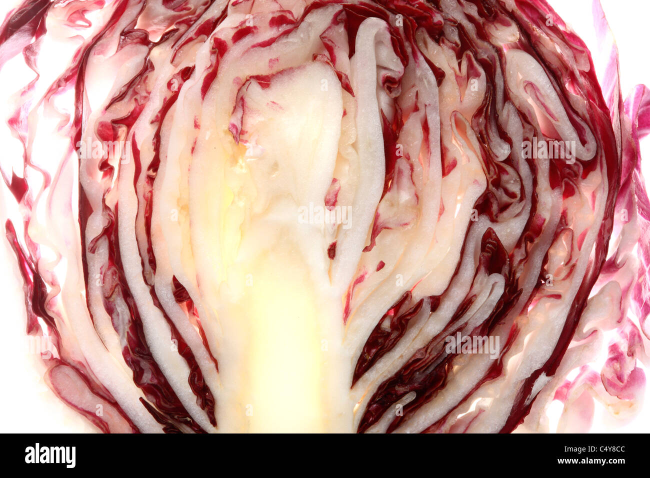 Red endive hi-res stock photography and images - Alamy