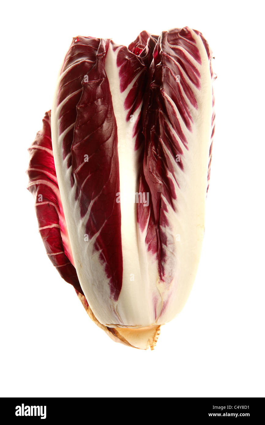long Radicchio salad, red endive salad Stock Photo - Alamy