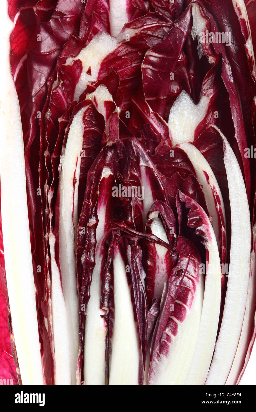long Radicchio salad, red endive salad Stock Photo - Alamy