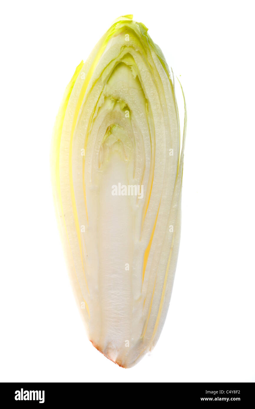 Chicory, Belgian endive, salad Stock Photo - Alamy
