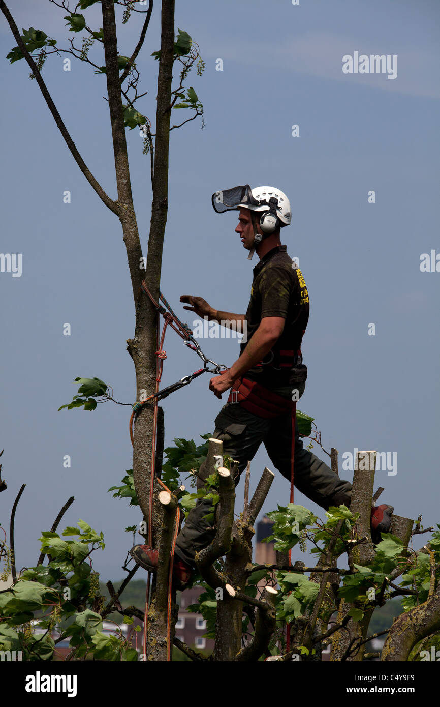 Safety in surgery hi-res stock photography and images - Alamy