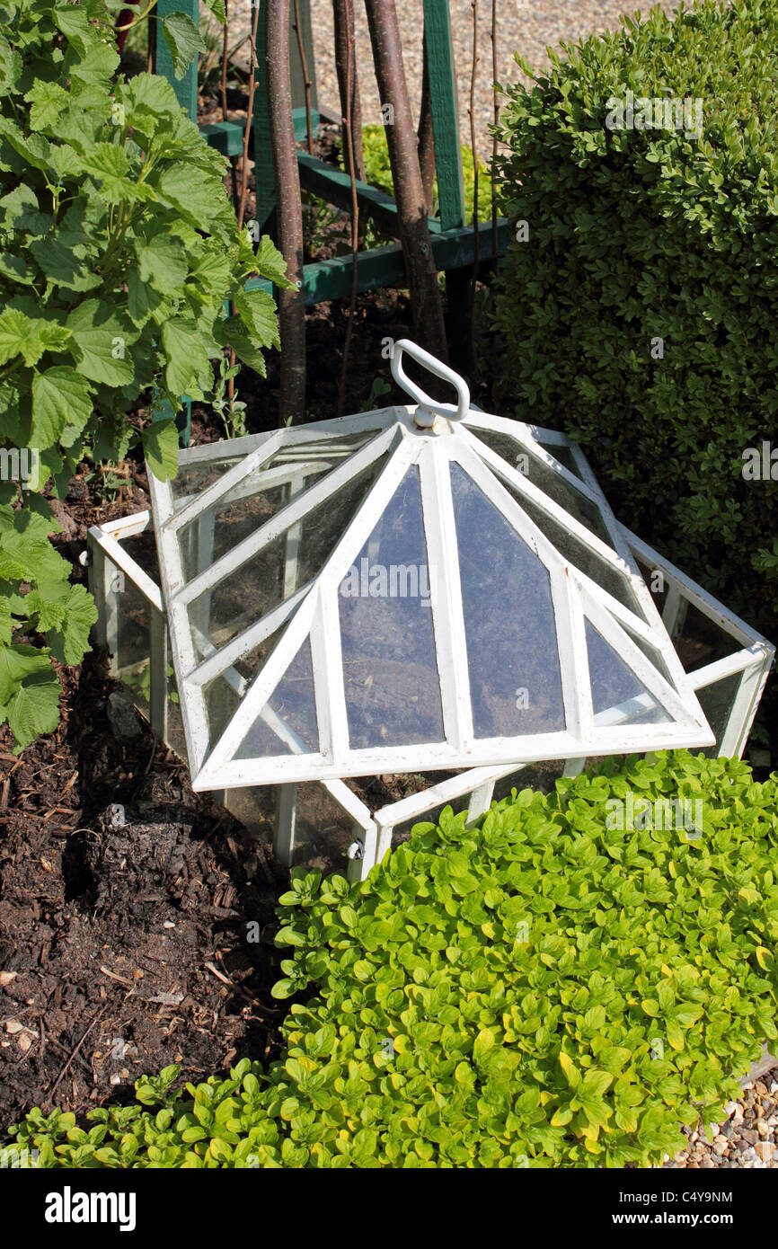 Glass garden cloche hi-res stock photography and images - Alamy