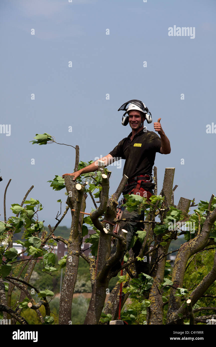 Tree surgery hi-res stock photography and images - Alamy