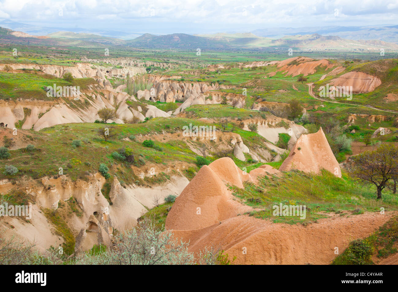 Spring landscape at Fairy Chimneys of Cappadocia, Turkey Stock Photo ...