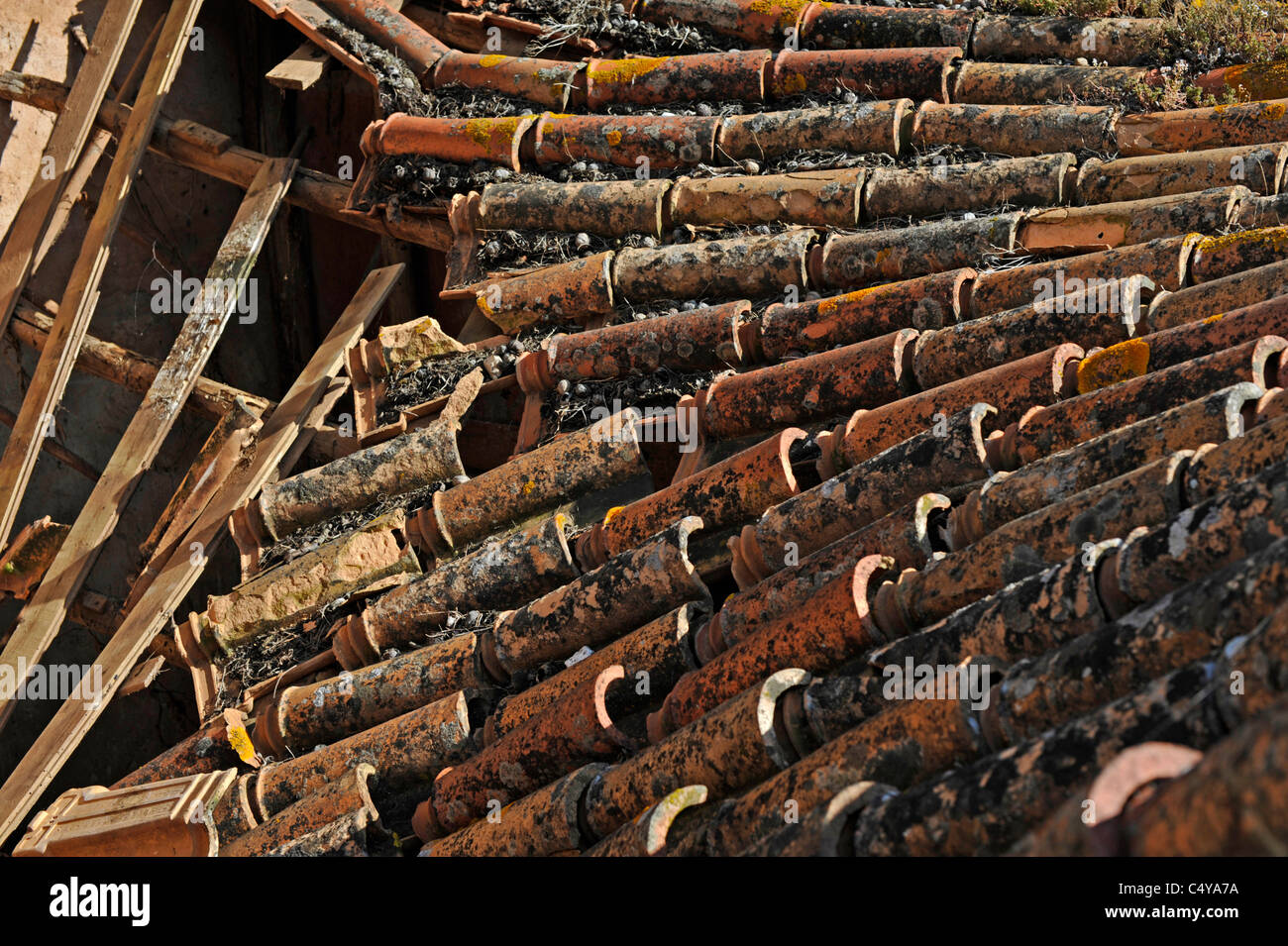 Broken roof hi-res stock photography and images - Alamy
