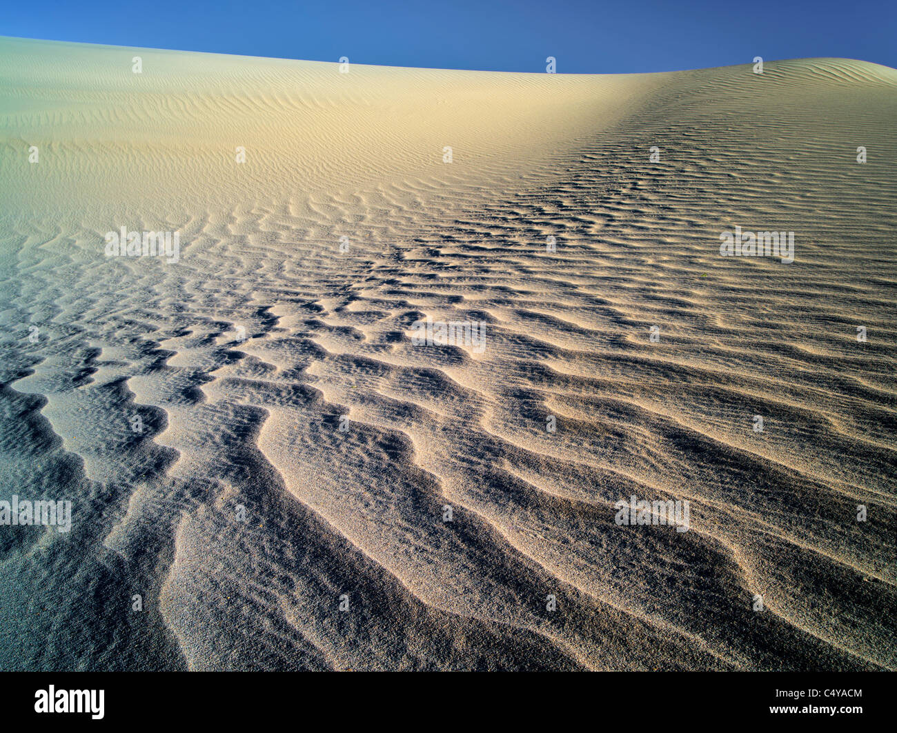 Patterns in sand after intense wind storm. Death Valley National Park ...