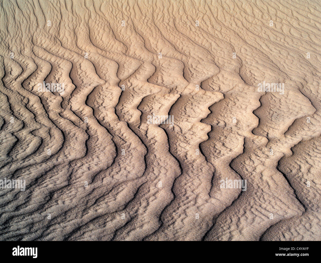 Patterns in sand after intense wind storm. Death Valley National Park ...