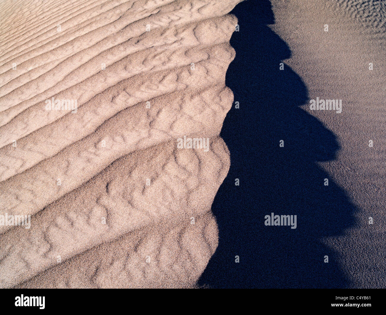 Patterns in sand after intense wind storm. Death Valley National Park ...