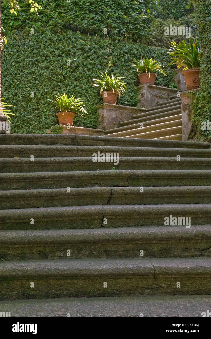 steps flights of steps with decorative plants and hedgerows Stock Photo ...