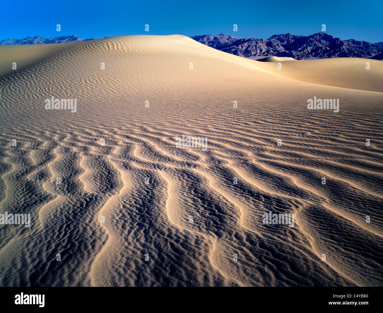 Patterns in sand after intense wind storm. Death Valley National Park ...