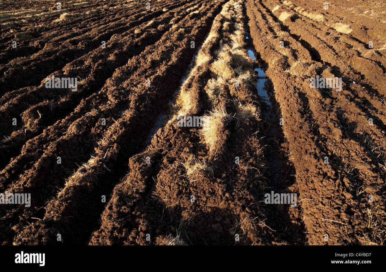 Field farmland ploughed close up farming furrows furrow hi-res stock ...