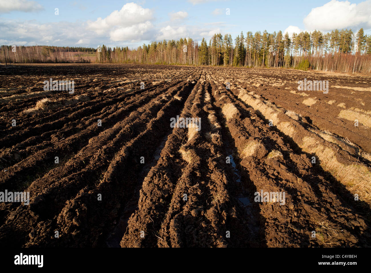 Furrowed land hi-res stock photography and images - Alamy