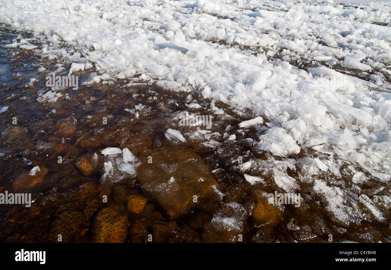Blocks of melting sea ice float to the shore , Finland Stock Photo - Alamy