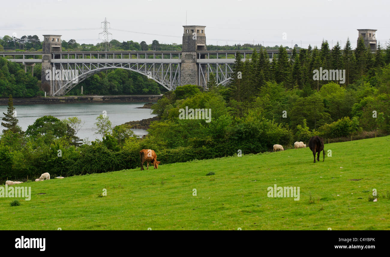 Britannia bridge hi-res stock photography and images - Alamy