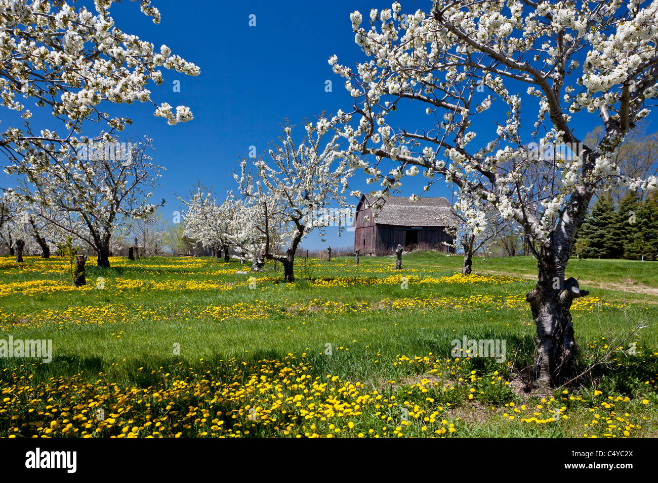 Orchard barn hi-res stock photography and images - Alamy
