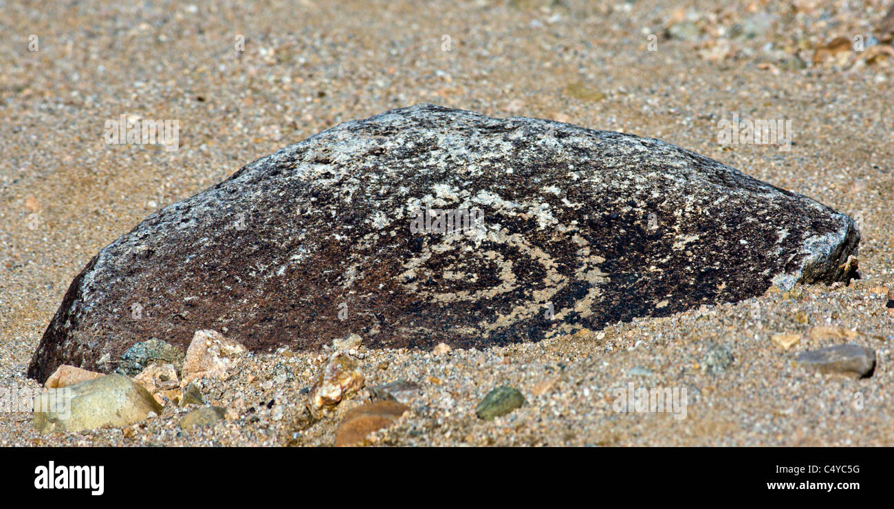 Native American petroglyph picture art on a rock at Picture Rocks ...