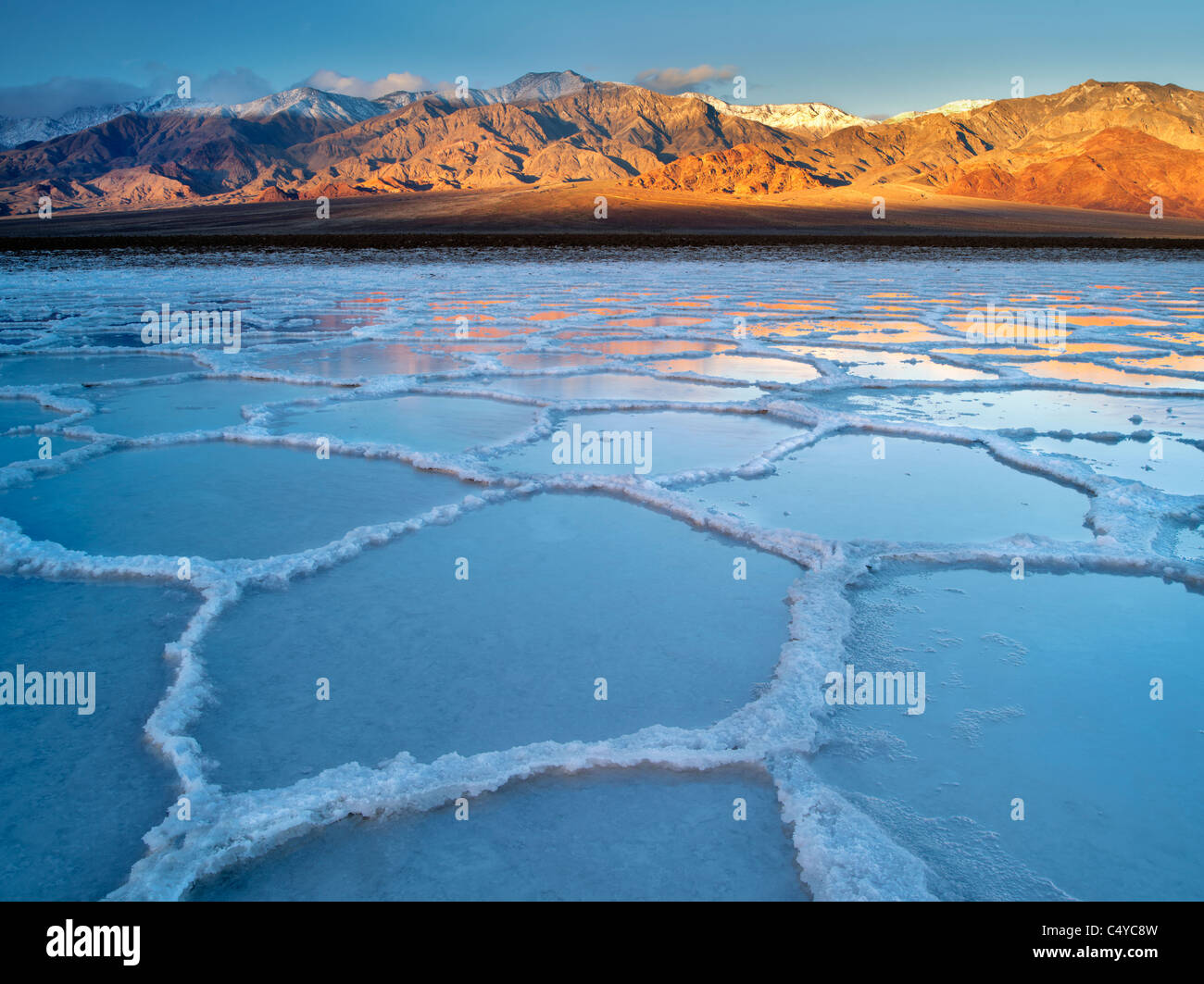 Salt poygons with water in them after rain storm. Death Valley National ...