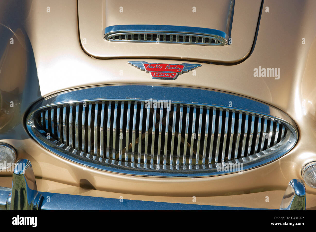 Gold Austin-Healey 3000 front grill and badge Stock Photo - Alamy