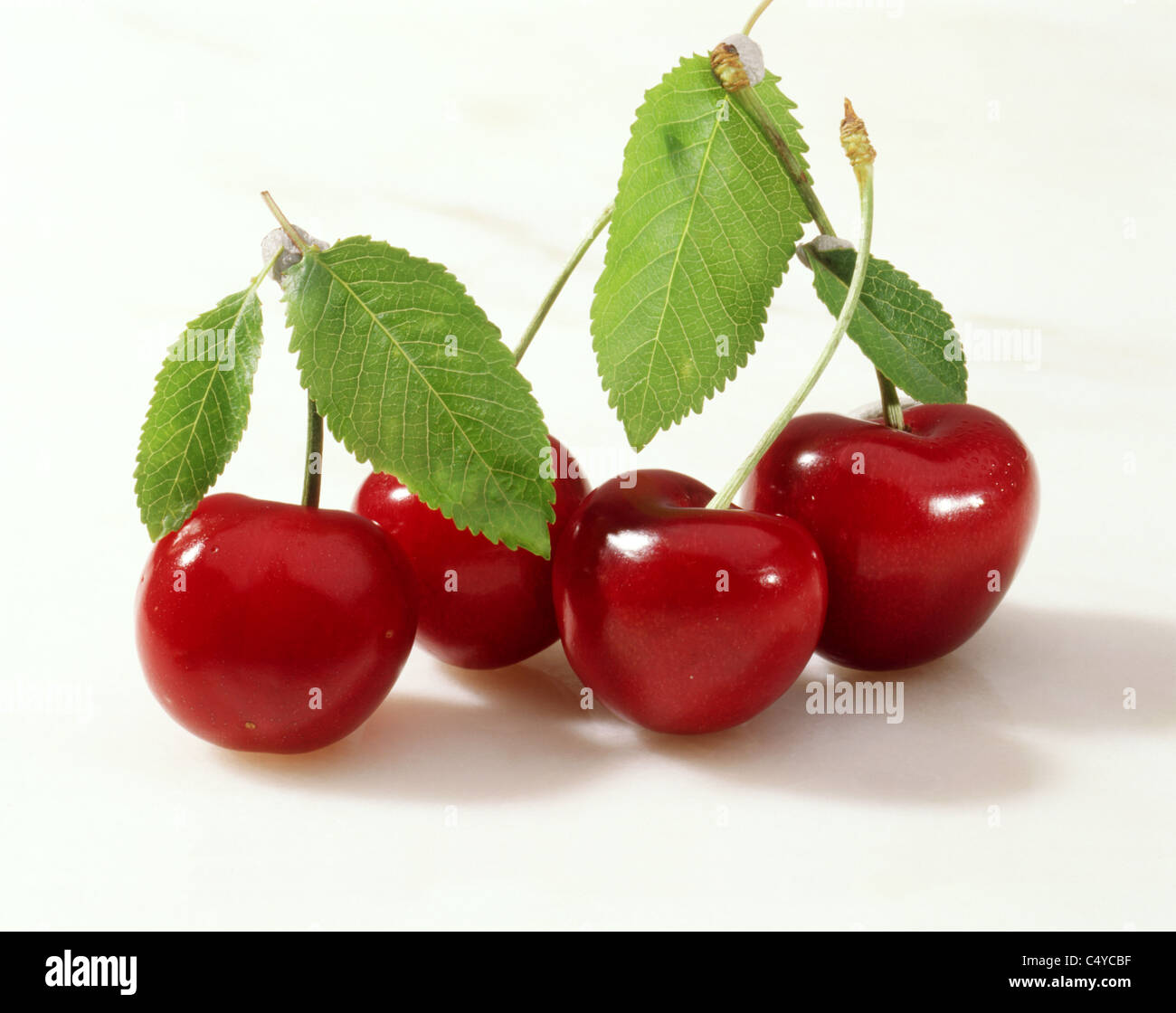 Cut out: Cherries Stock Photo - Alamy