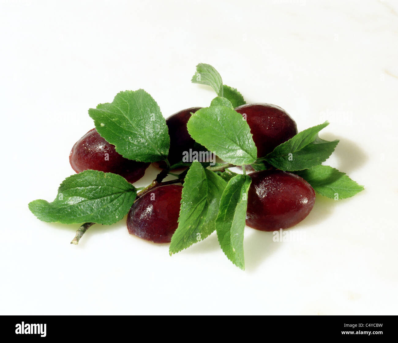 Cut out plums Stock Photo - Alamy